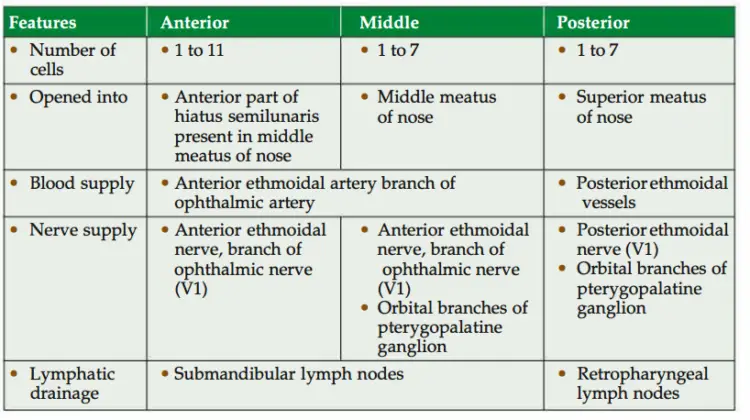 Nose and Paranasal Sinuses Anatomy Notes And Important Questions With ...
