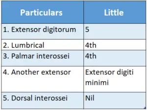 Muscles Of The Anterior Forearm - Anatomy Study Guide