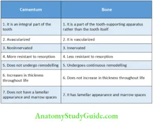 Oral Histology Cementum Notes - Anatomy Study Guide