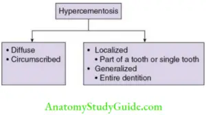 Oral Histology Cementum Notes - Anatomy Study Guide