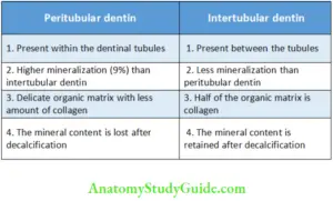 Dentin Meaning, Development, Structure, Types - Anatomy Study Guide