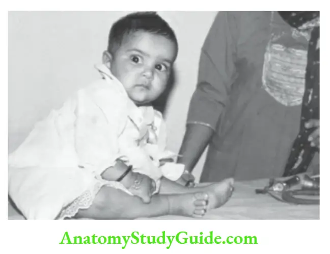 Pediatrician Developmental Assessment Notes - Anatomy Study Guide