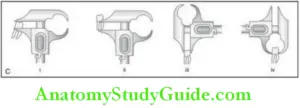 Surfaces of the Teeth - An Overview of Dental Anatomy - Anatomy Study Guide