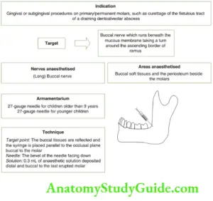 Local Anaesthesia Notes - Anatomy Study Guide