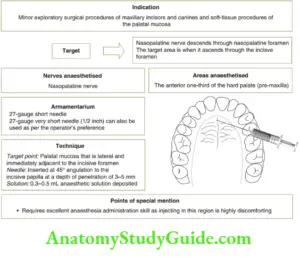 Local Anaesthesia Notes - Anatomy Study Guide