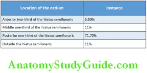 Histology Of Maxillary Sinus Notes - Anatomy Study Guide