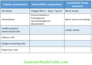 Pulp Oral Histology Notes - Anatomy Study Guide