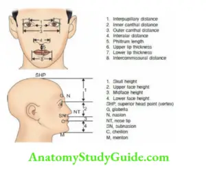 Dysmorphic Features In Pediatrics Notes - Anatomy Study Guide