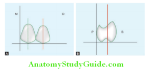 Complete Denture – Selection & Arrangement of Artificial Teeth ...