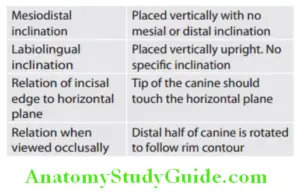 Complete Denture – Selection & Arrangement of Artificial Teeth ...