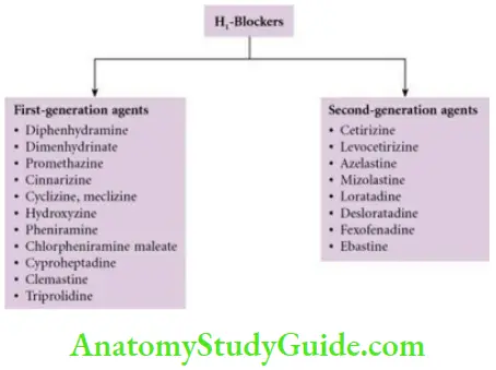 Autacoids And Respiratory System Notes - Anatomy Study Guide