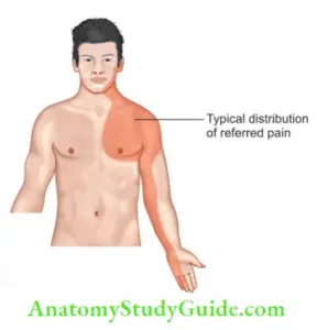 Differential Diagnosis Of Orofacial Pain Notes - Anatomy Study Guide