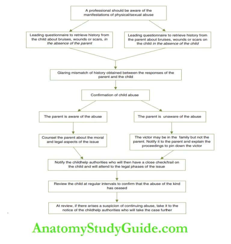 Child Abuse And Neglect Notes - Anatomy Study Guide