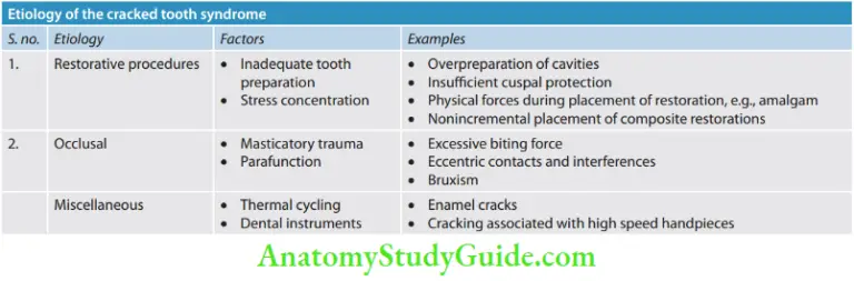 Vertical Root Fracture And Crack Tooth Syndrome Notes - Anatomy Study Guide