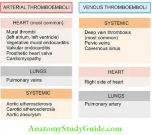 Embolism Classification Notes - Anatomy Study Guide