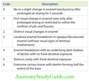 Diagnosis And Removal Of Dental Caries Notes - Anatomy Study Guide