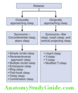 Direct And Indirect Retainers in Preclinical Prosthodontics - Anatomy ...