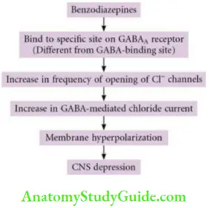 Drugs Acting On Central Nervous System Notes - Anatomy Study Guide