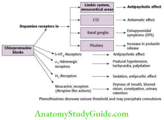 Drugs Acting On Central Nervous System Notes - Anatomy Study Guide