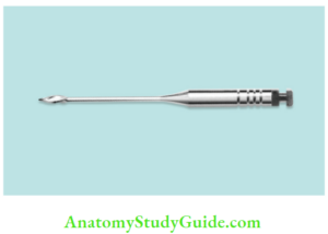 Endodontic Instruments Classification Notes - Anatomy Study Guide