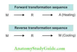 Endodontic Instruments Classification Notes - Anatomy Study Guide