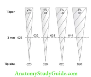 Endodontic Instruments Classification Notes - Anatomy Study Guide