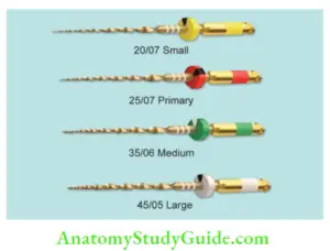 Endodontic Instruments Classification Notes - Anatomy Study Guide