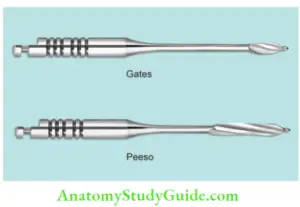 Endodontic Instruments Classification Notes - Anatomy Study Guide