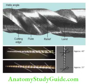 Endodontic Instruments Classification Notes - Anatomy Study Guide