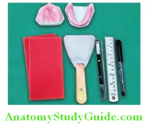 Fabrication Of Occlusal Rims Notes - Anatomy Study Guide