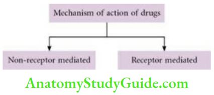 Introduction To Pharmacodynamics Notes - Anatomy Study Guide