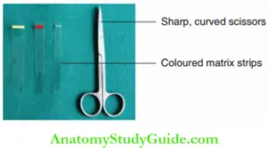 Isolation Matricing And Wedging Notes - Anatomy Study Guide