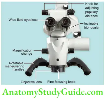 Magnification Devices for Endodontics Notes - Anatomy Study Guide