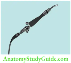 Magnification Devices for Endodontics Notes - Anatomy Study Guide