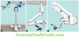 Magnification Devices for Endodontics Notes - Anatomy Study Guide