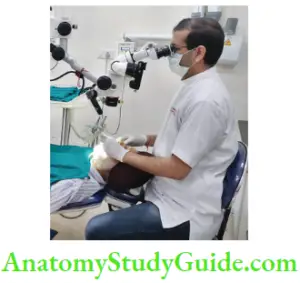 Magnification Devices for Endodontics Notes - Anatomy Study Guide