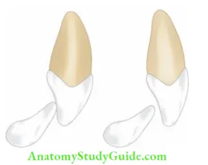 Luxation Injuries Treatment Notes - Anatomy Study Guide