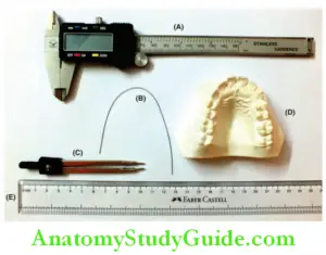 Mixed Dentition Space Analysis Notes - Anatomy Study Guide