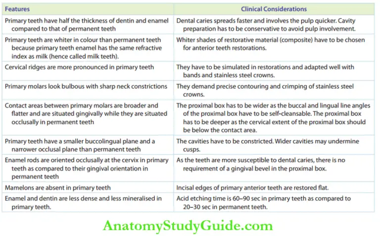 Paediatric Operative Dentistry An Overview Notes - Anatomy Study Guide