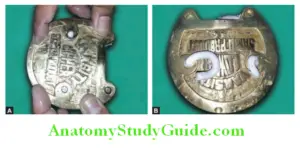 Complete Denture – Flasking, Dewaxing & Packing Notes - Anatomy Study Guide