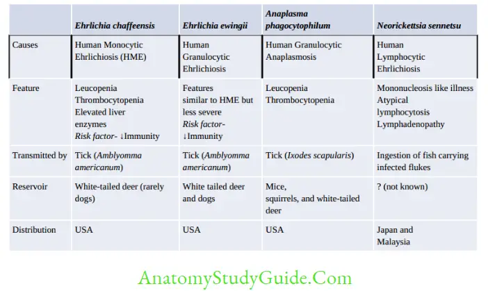 Rickettsia Chlamydia And Mycoplasma Notes - Anatomy Study Guide