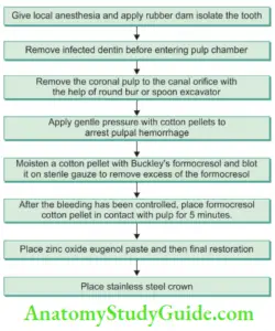 Pulpal Regeneration Techniques Notes - Anatomy Study Guide