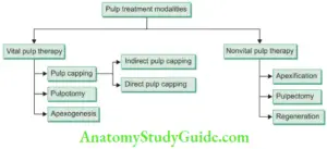 Pulpal Regeneration Techniques Notes - Anatomy Study Guide