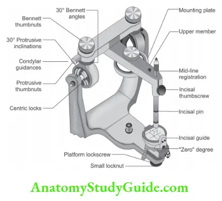 Rationale for Use of Semi-Adjustable Articulators - Anatomy Study Guide