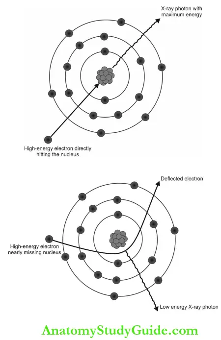 Radiation Physics Question And Answers - Anatomy Study Guide