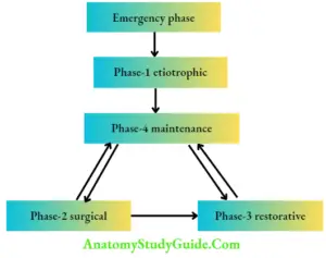 Rationale Of Periodontal Therapy And Treatment Planning Question And ...