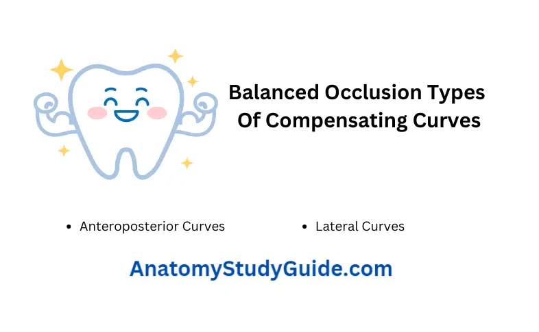 Condylar Guidance In Articulator and Bilateral Balanced Occlusion ...