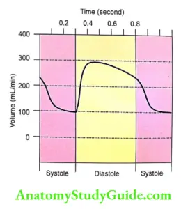 Coronary Circulation - Anatomy Study Guide