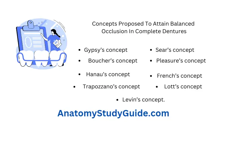 Explain Balanced Occlusion In Complete Denture - Anatomy Study Guide