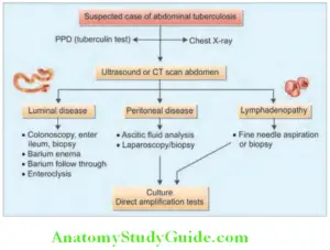 Gastroenterology Question And Answers - Anatomy Study Guide